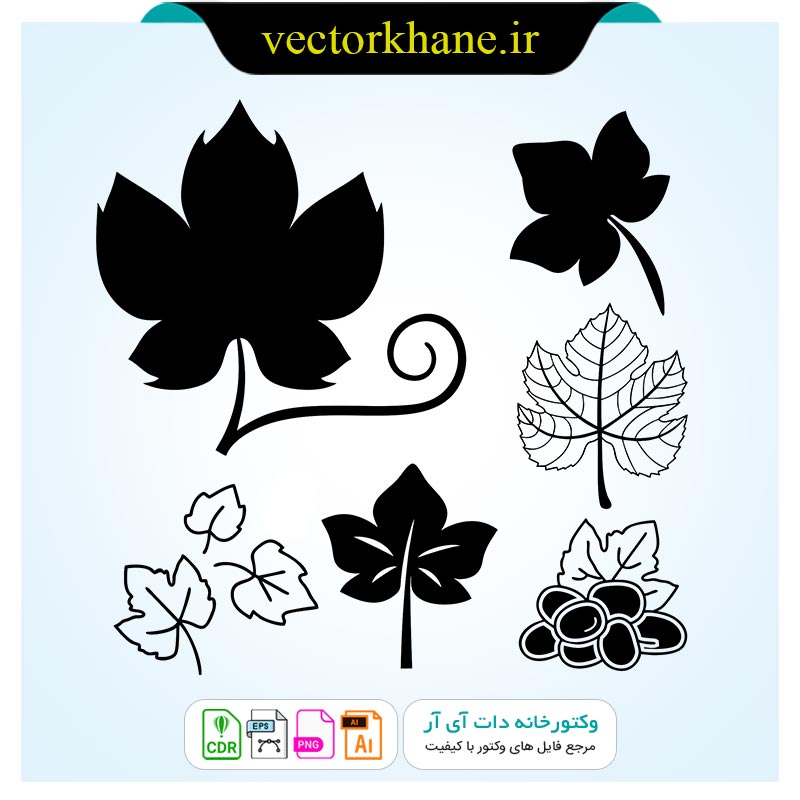 وکتور برگ انگور - چند طرح وکتور از برگ مو